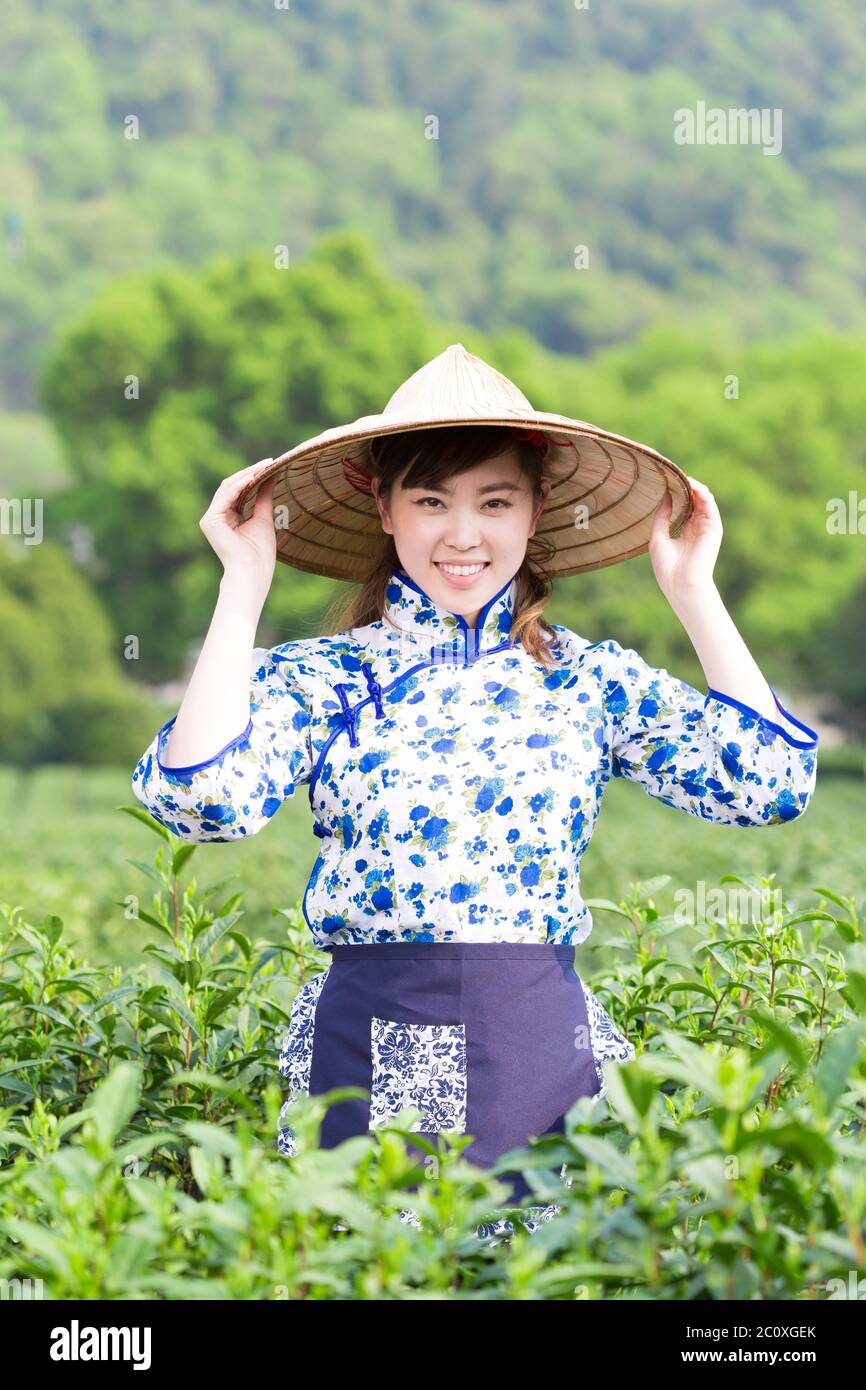 beautiful Asian girl in tea plantation Stock Photo - Alamy