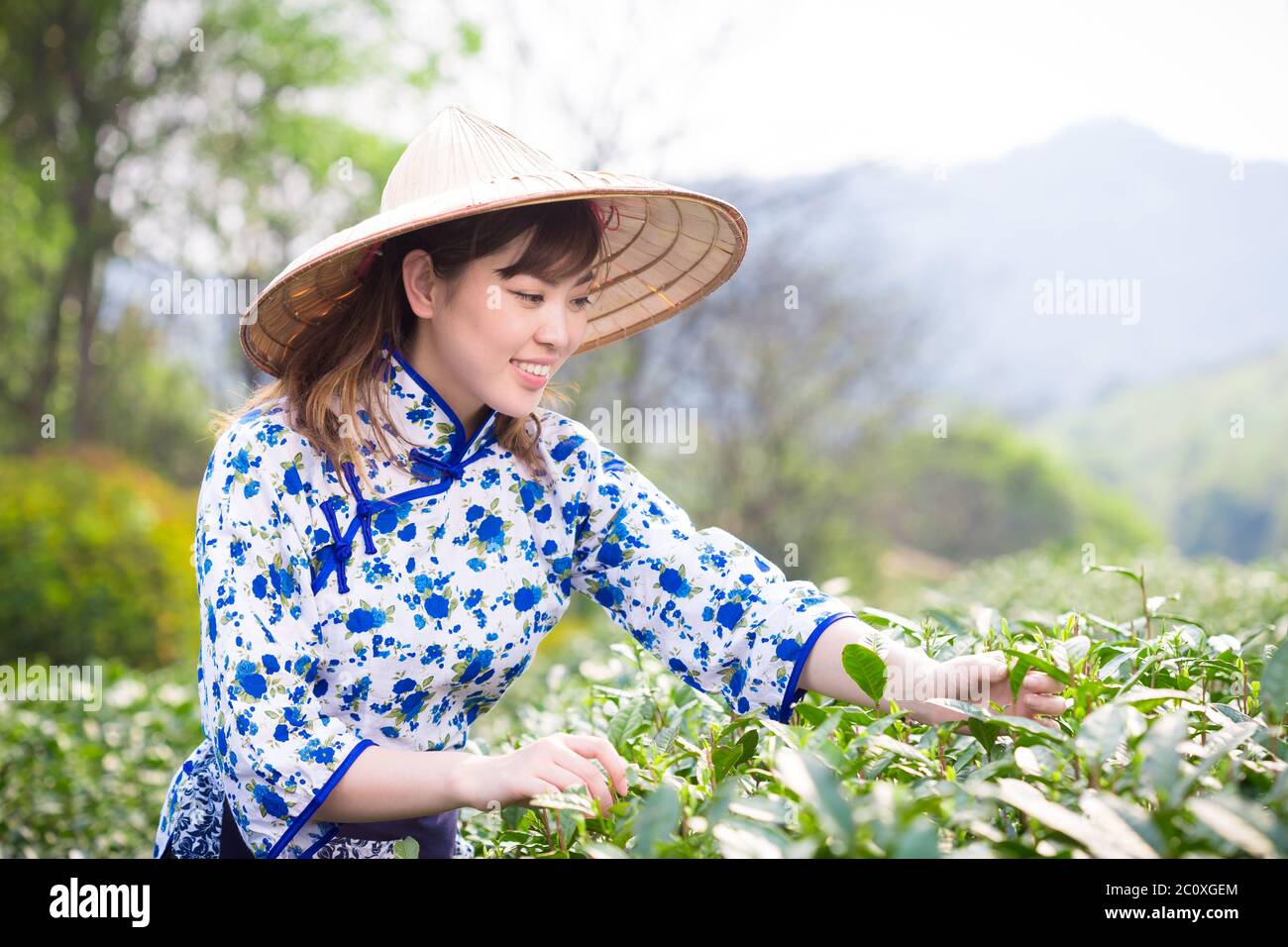 beautiful Asian girl in tea plantation Stock Photo - Alamy