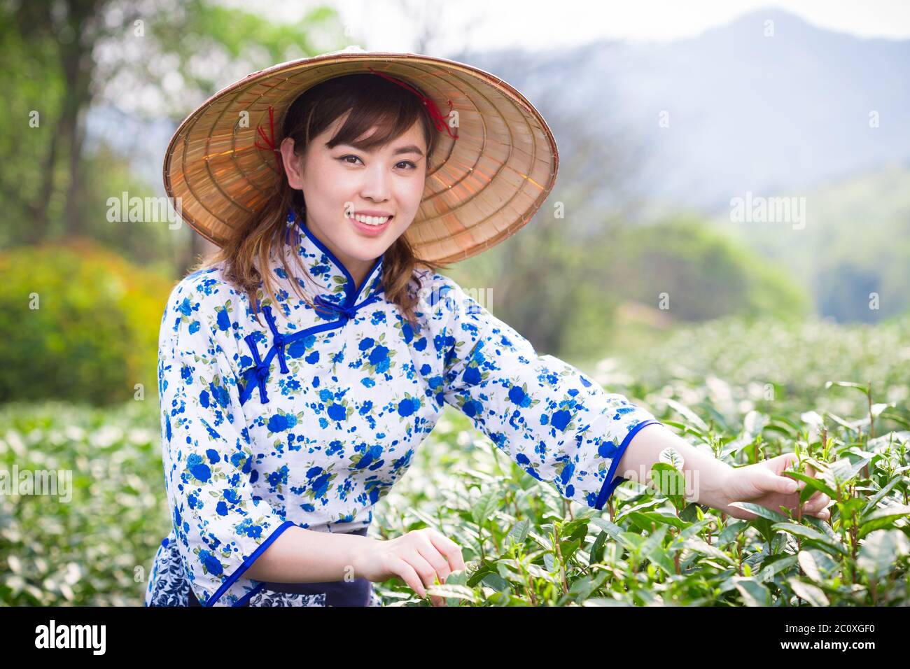 beautiful Asian girl in tea plantation Stock Photo - Alamy