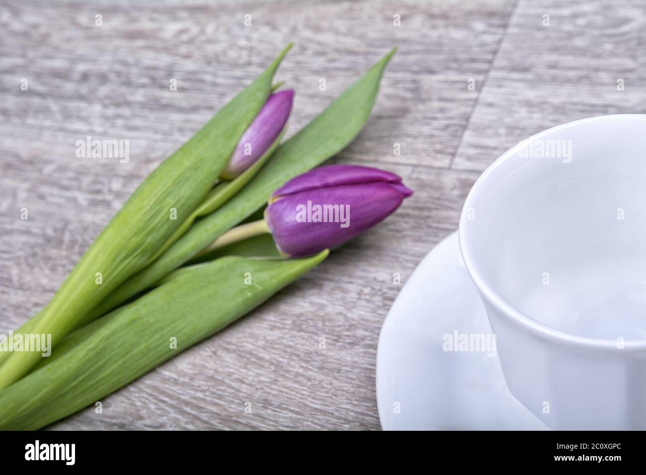 Purple paper cup hi-res stock photography and images - Alamy