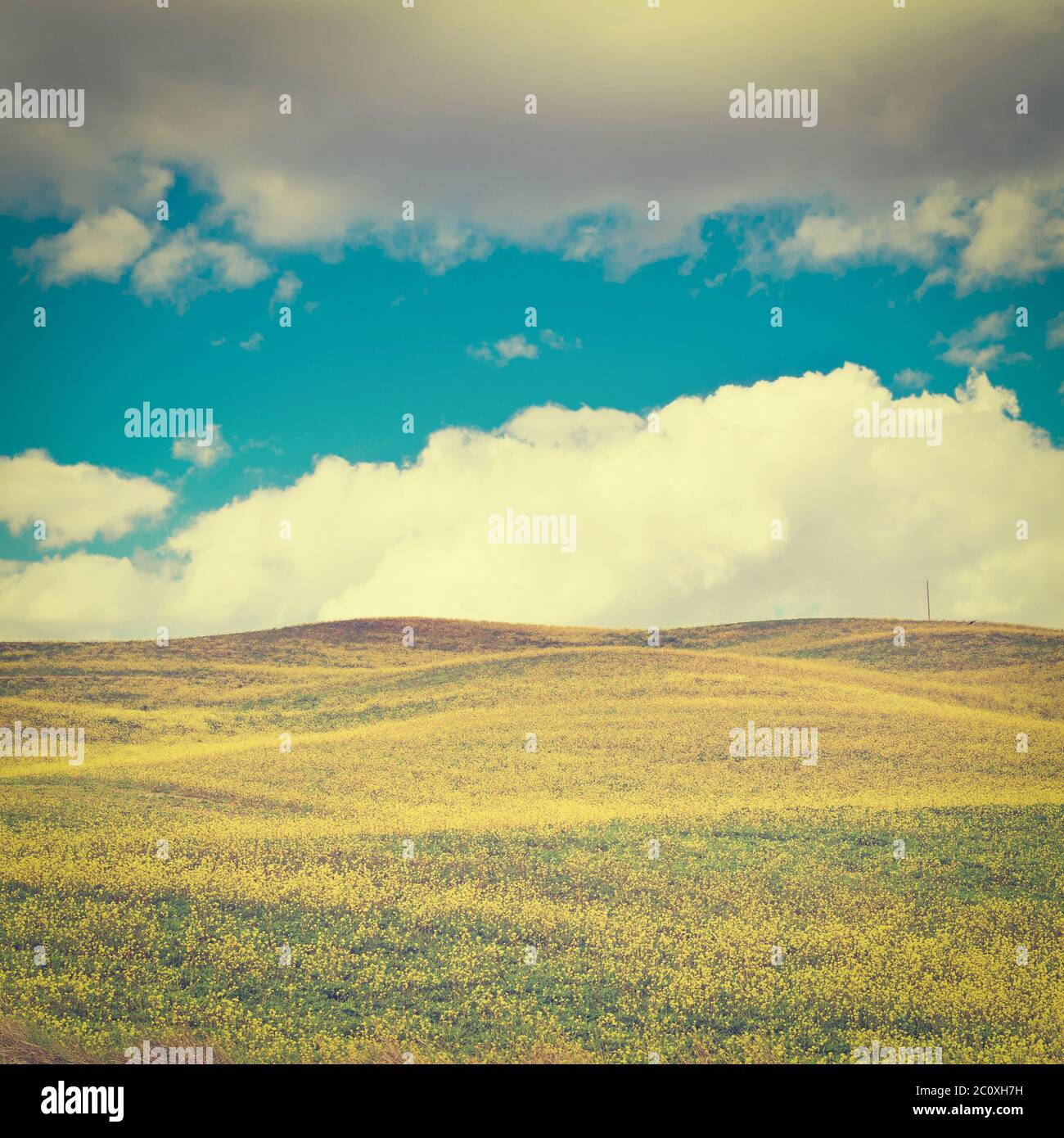 Sloping line hi-res stock photography and images - Alamy