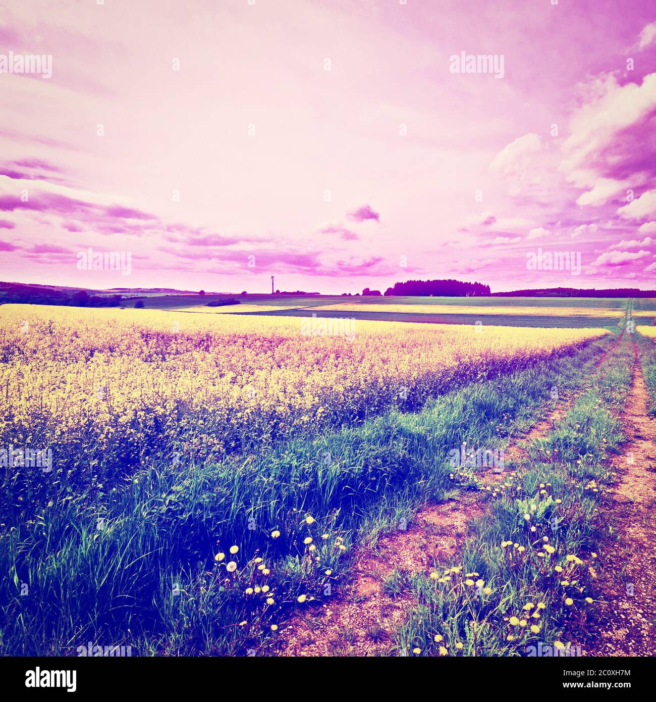 Sunset in Germany Stock Photo - Alamy