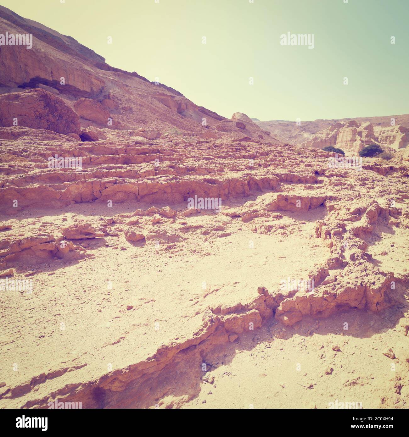 Wadi sha hi-res stock photography and images - Alamy