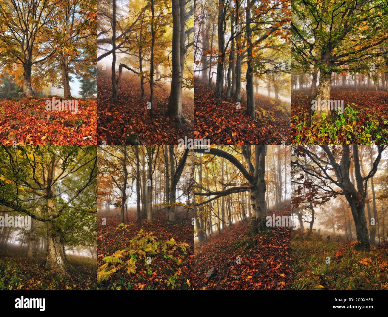 Fog Collection High Resolution Stock Photography and Images - Alamy