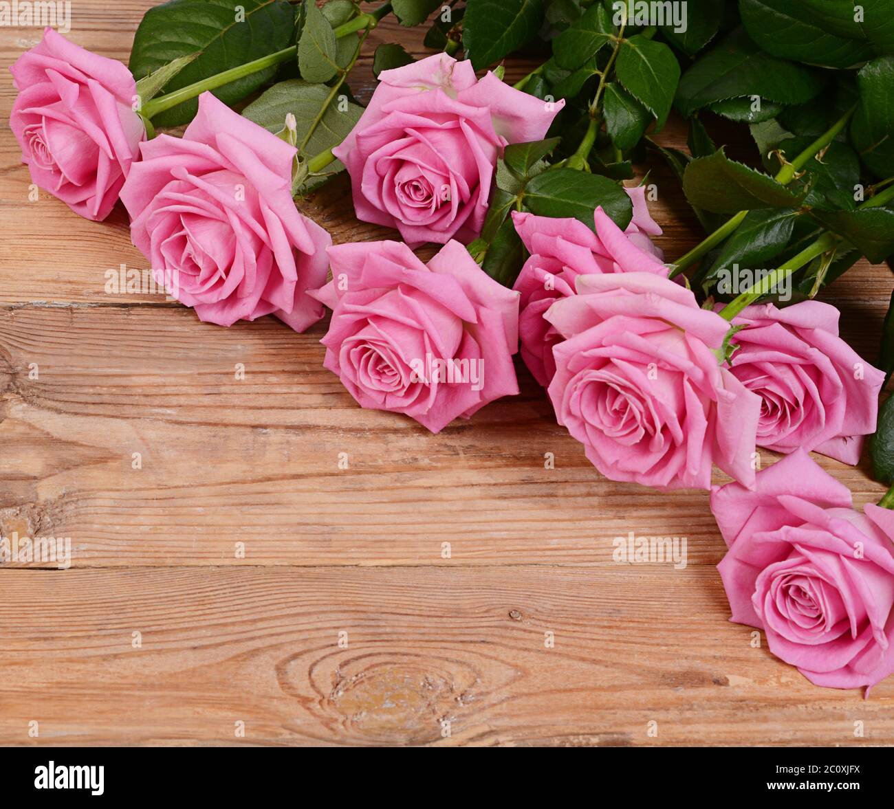 Pink rose as a background Stock Photo - Alamy