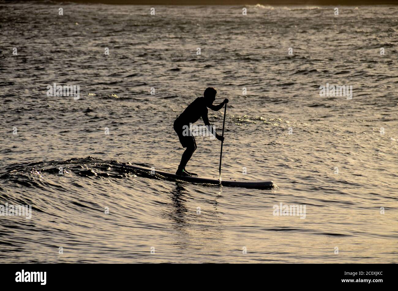 Fearless surfer hi-res stock photography and images - Alamy