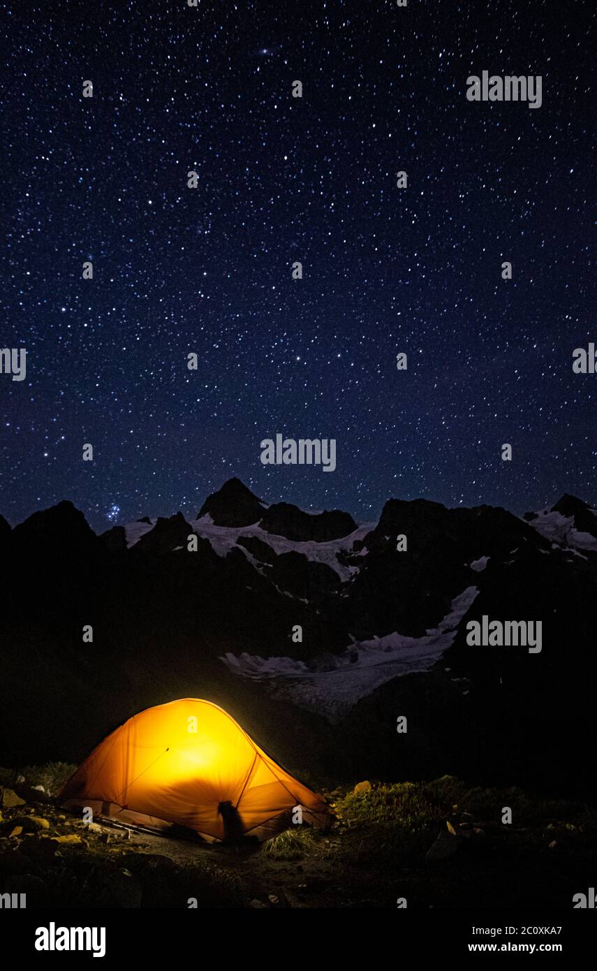 Stary night sky in forest hi-res stock photography and images - Alamy