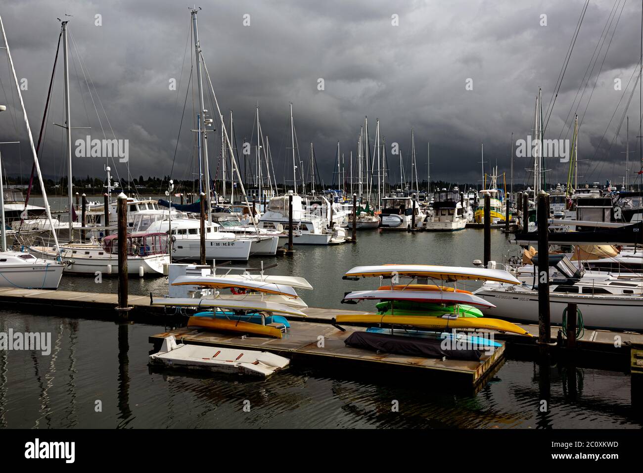 WA16726-00...WASHINGTON - Stormy day at Drayton Harbor near Semiahmoo ...