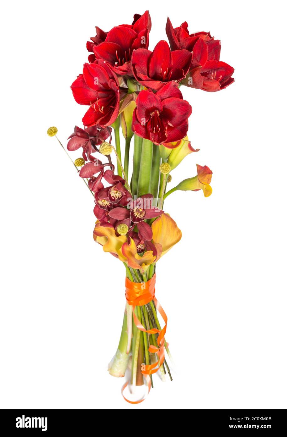 posy of red flowers on white background Stock Photo - Alamy