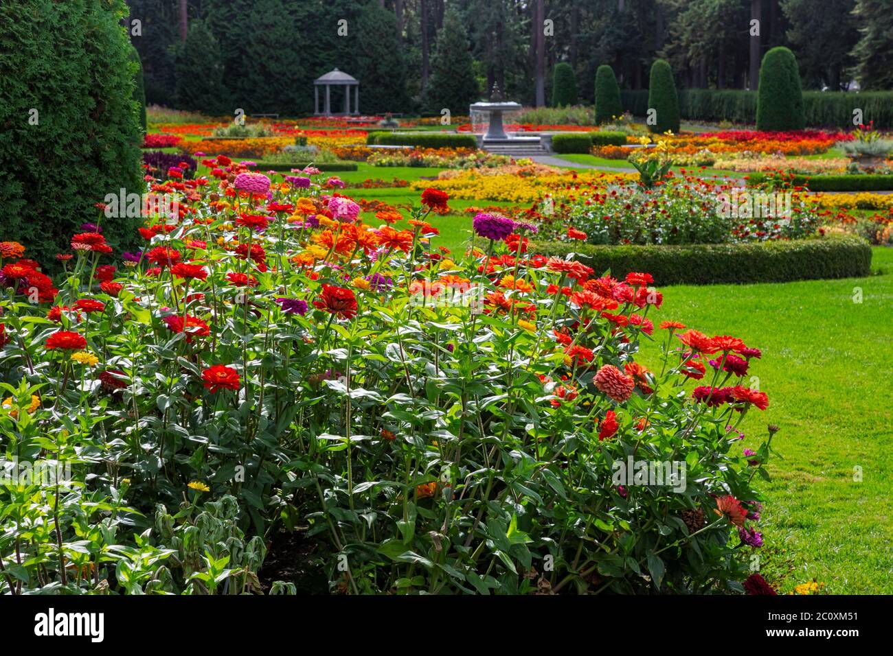 Summer duncan hi-res stock photography and images - Alamy