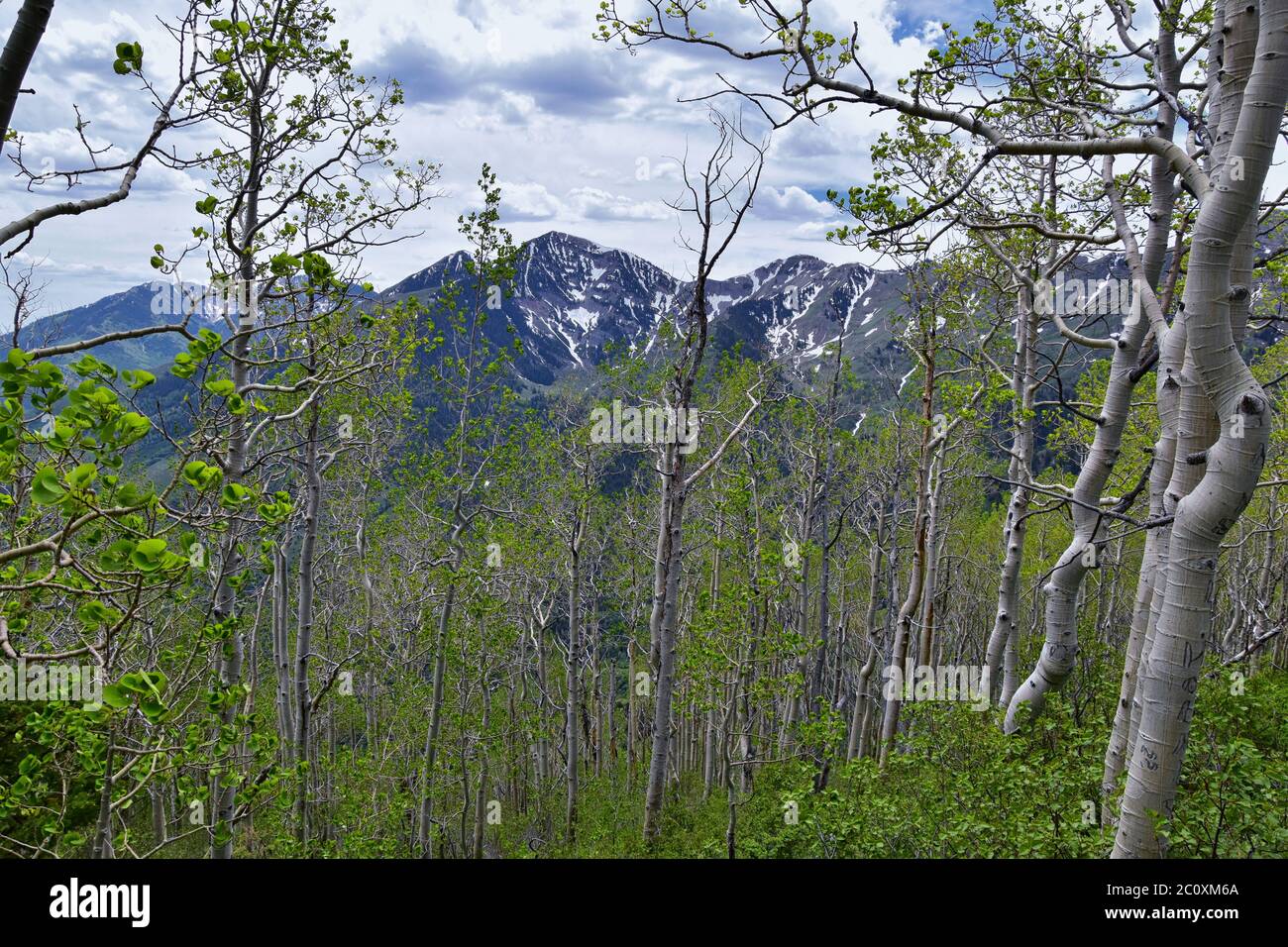Butterfield peaks hi-res stock photography and images - Alamy