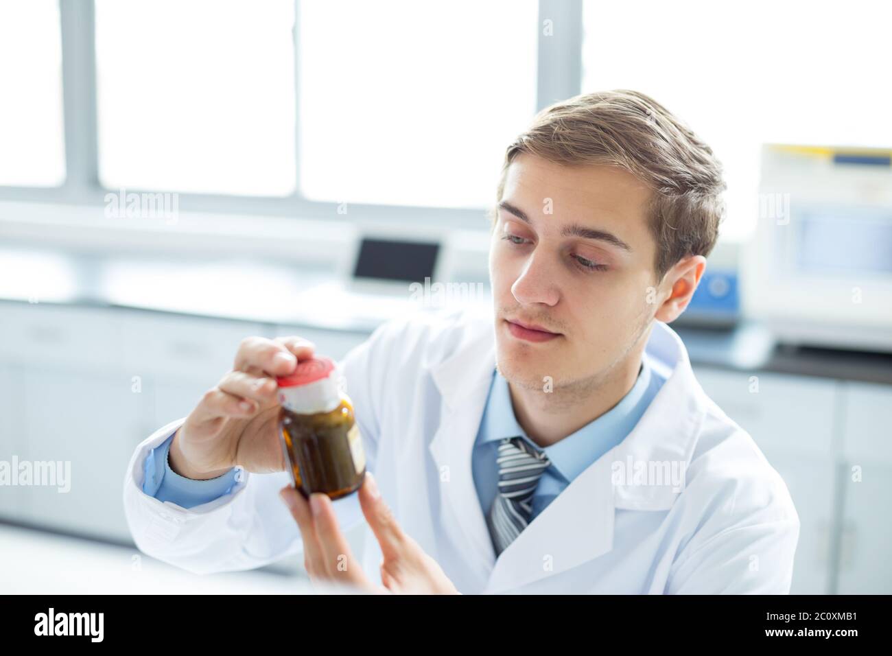 Handsome lab hi-res stock photography and images - Alamy