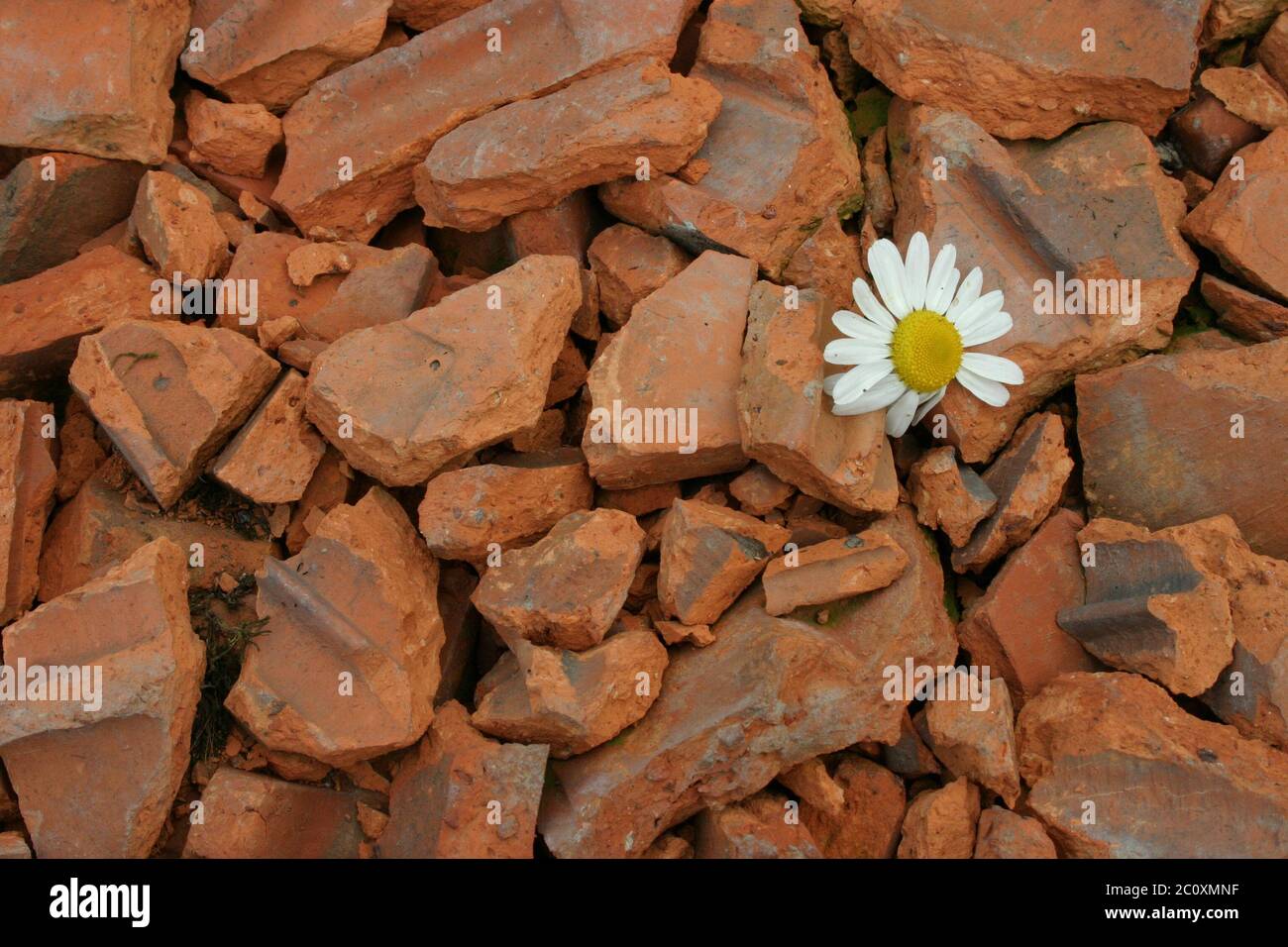 Rubble Road High Resolution Stock Photography and Images - Alamy