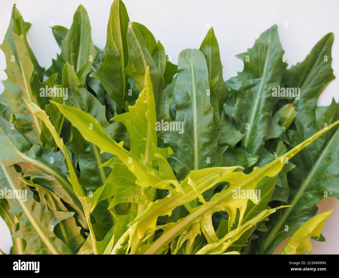 Catalonian cuisine hi-res stock photography and images - Alamy