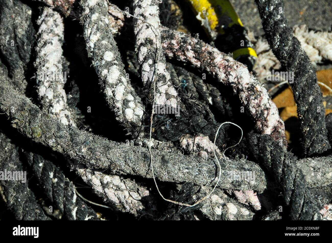 Naval string hi-res stock photography and images - Alamy