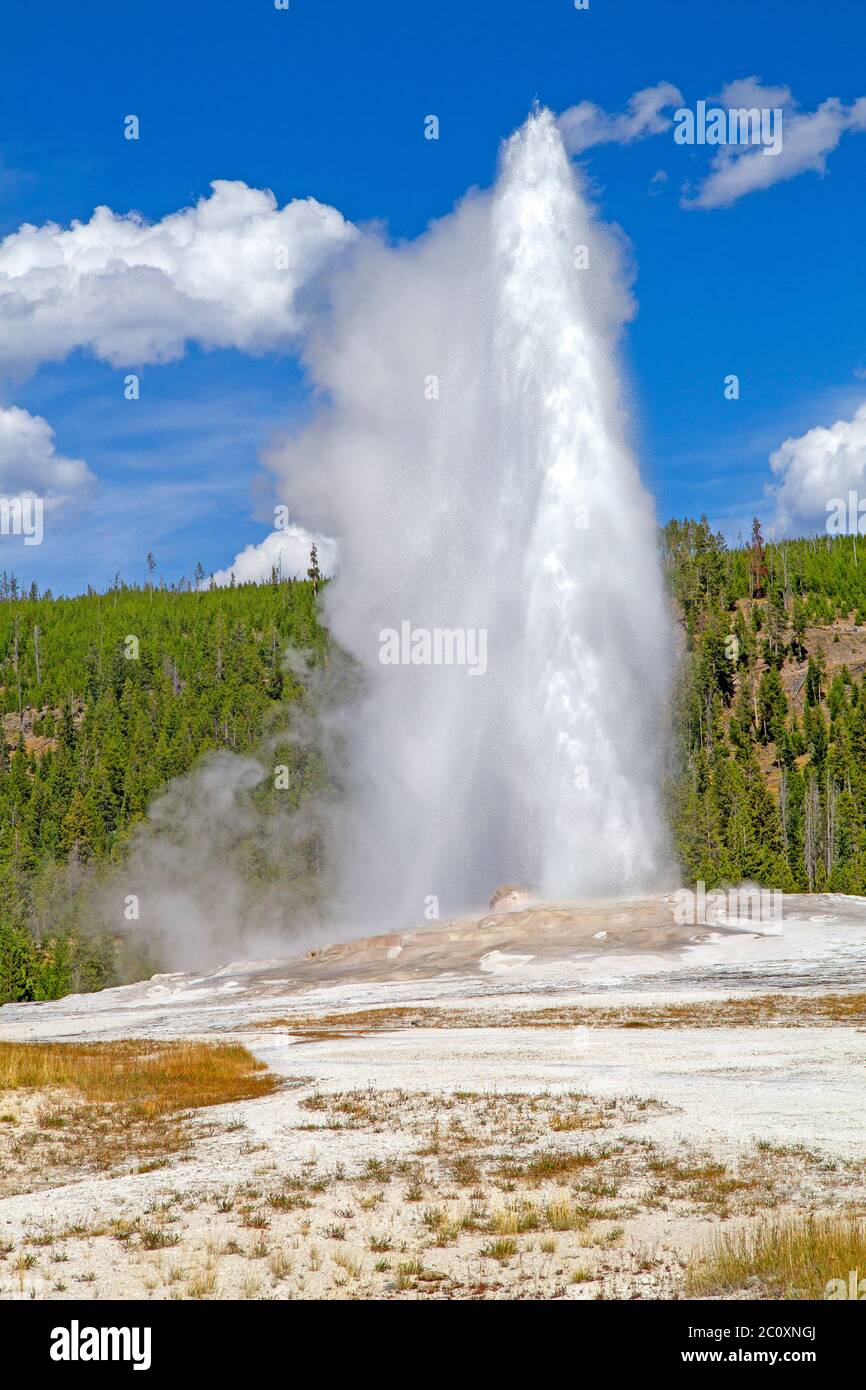 Geyser old hi-res stock photography and images - Alamy