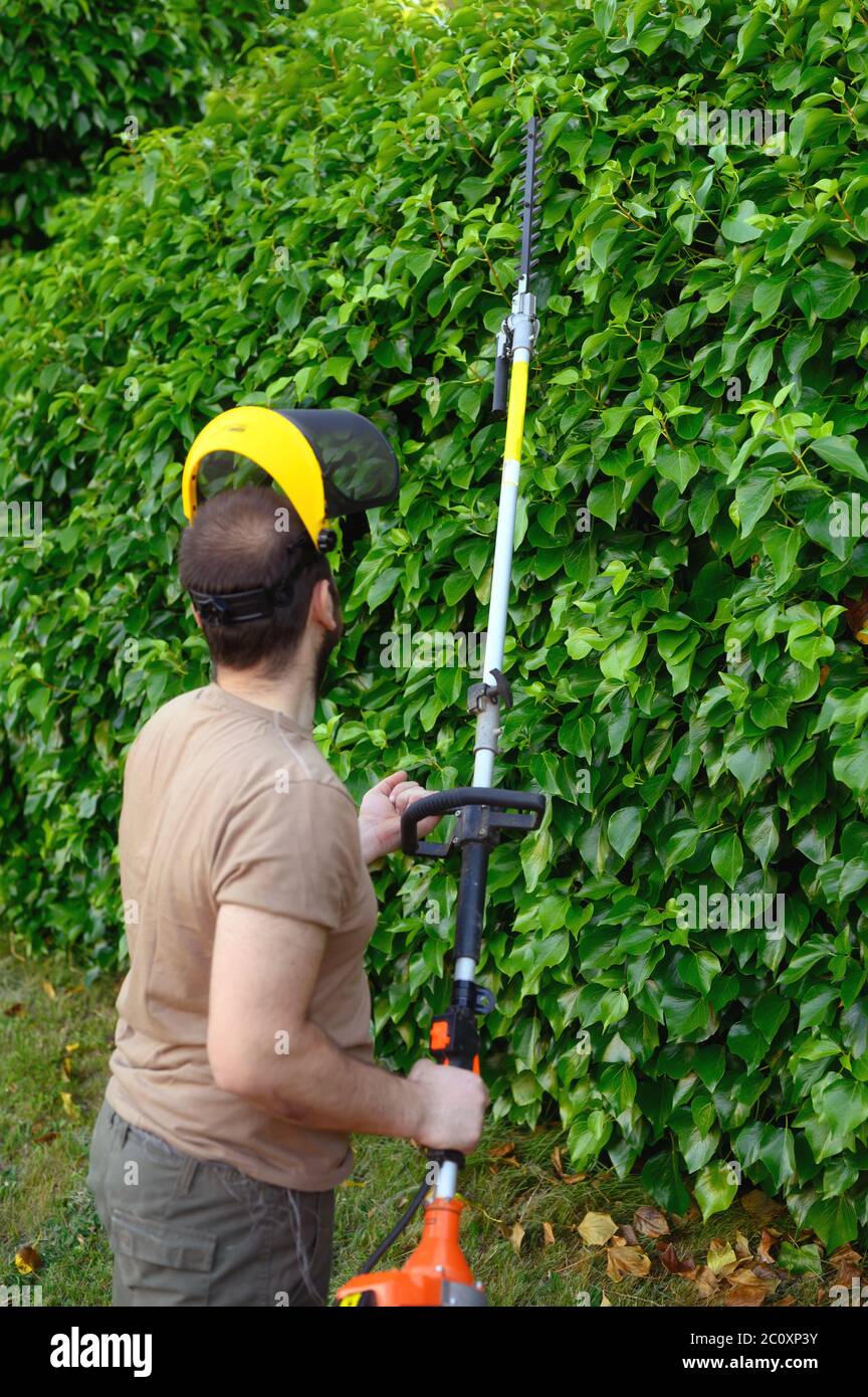 Shaping trimmer hi-res stock photography and images - Alamy