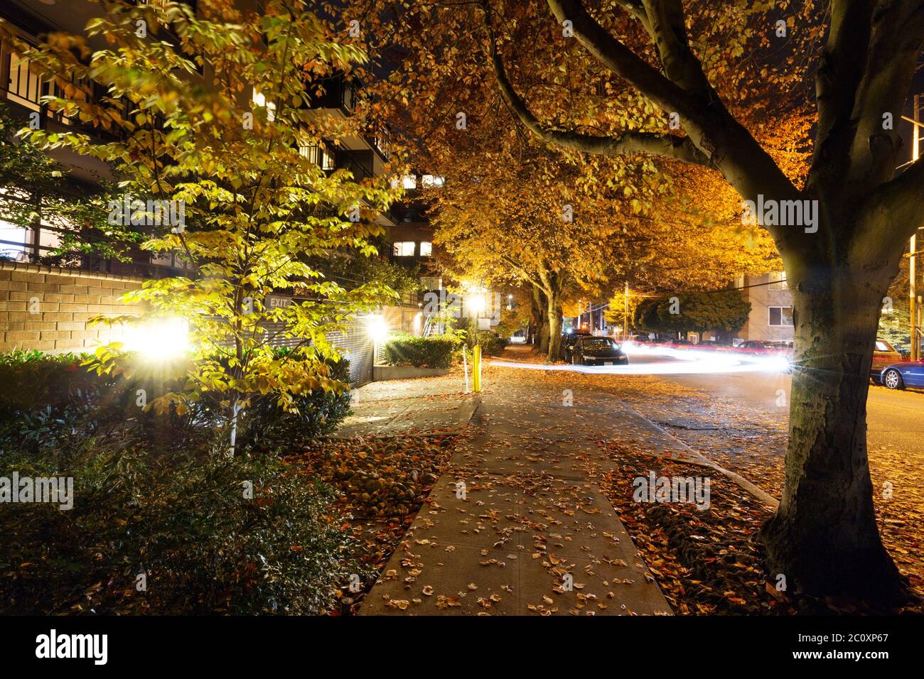 night scene of city road in seattle Stock Photo - Alamy