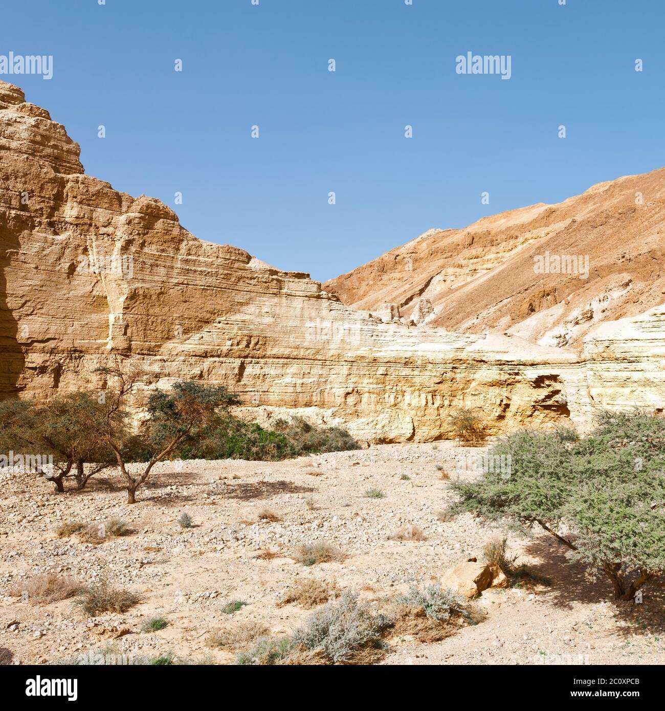 Spring desert hi-res stock photography and images - Alamy