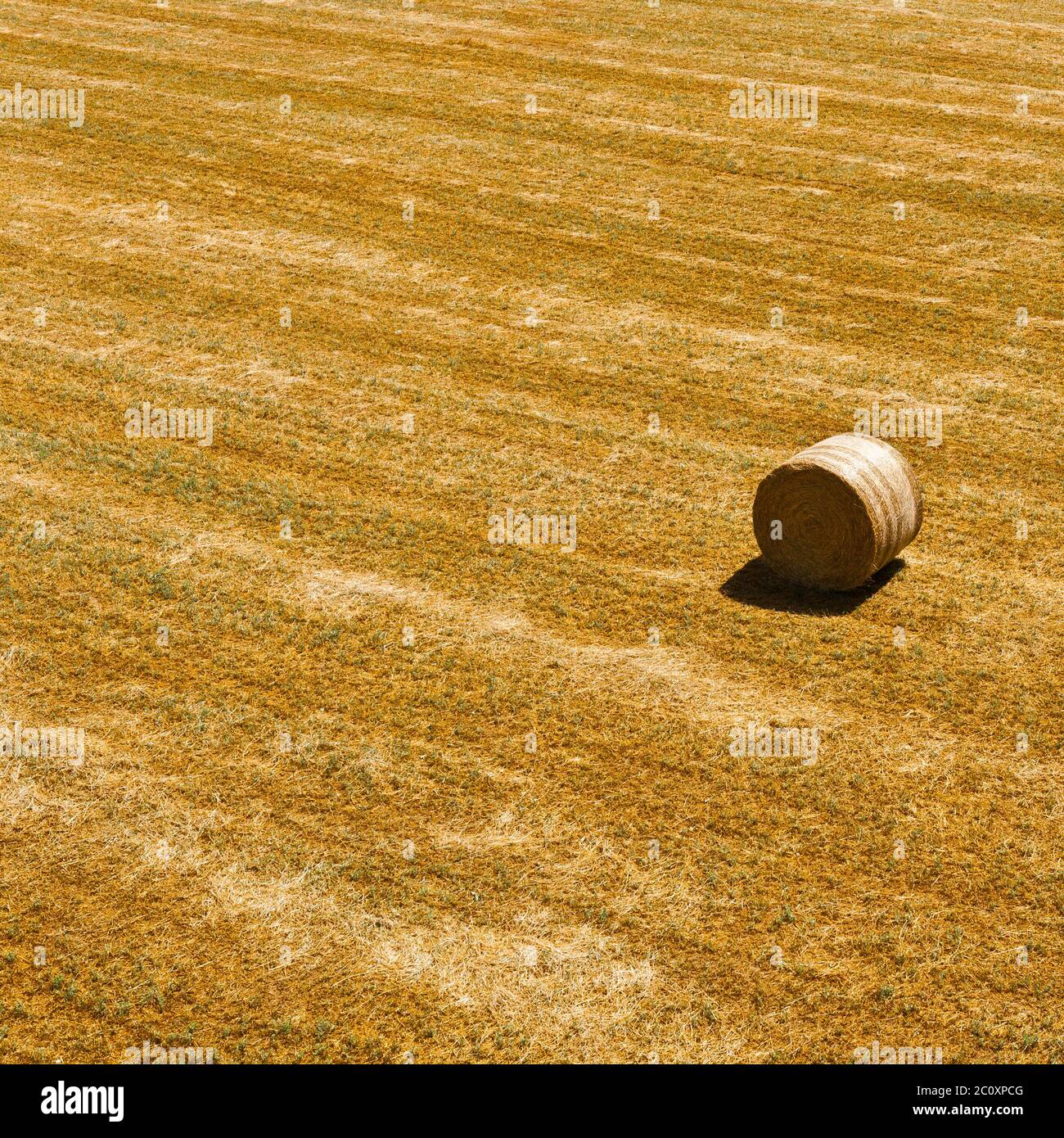 Italian hay bale hi-res stock photography and images - Alamy