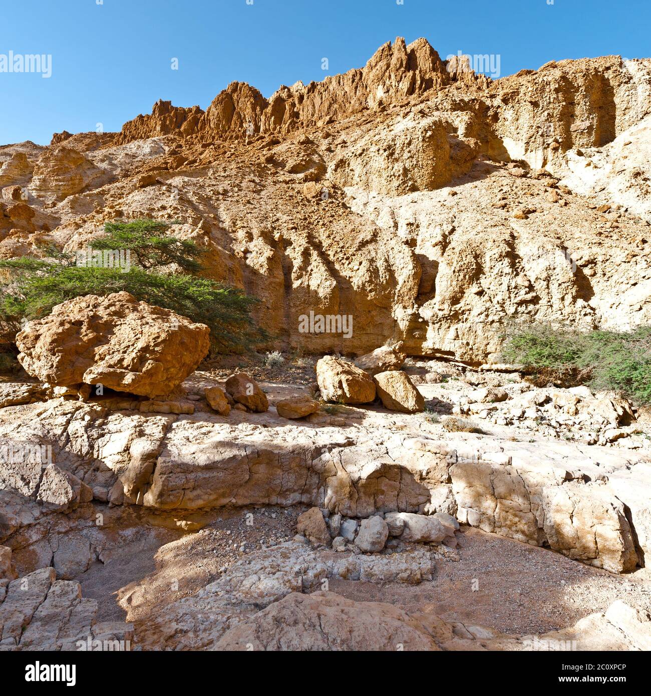 Spring desert terrain hi-res stock photography and images - Alamy