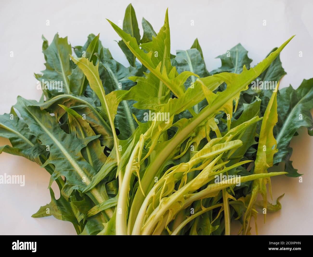 Catalonian cuisine hi-res stock photography and images - Alamy