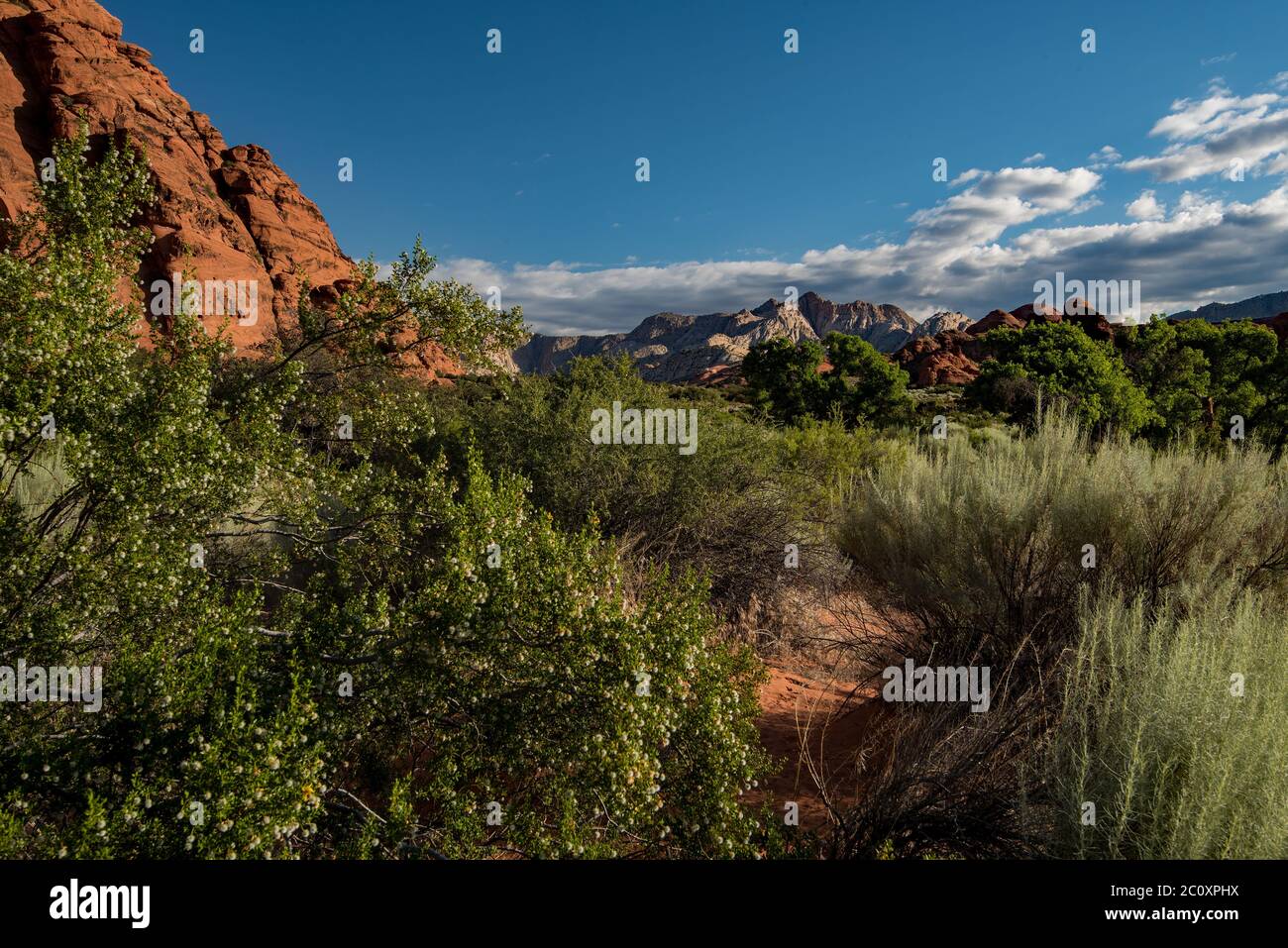 Red rock mountains and volcanic activity dominate this beautiful park ...