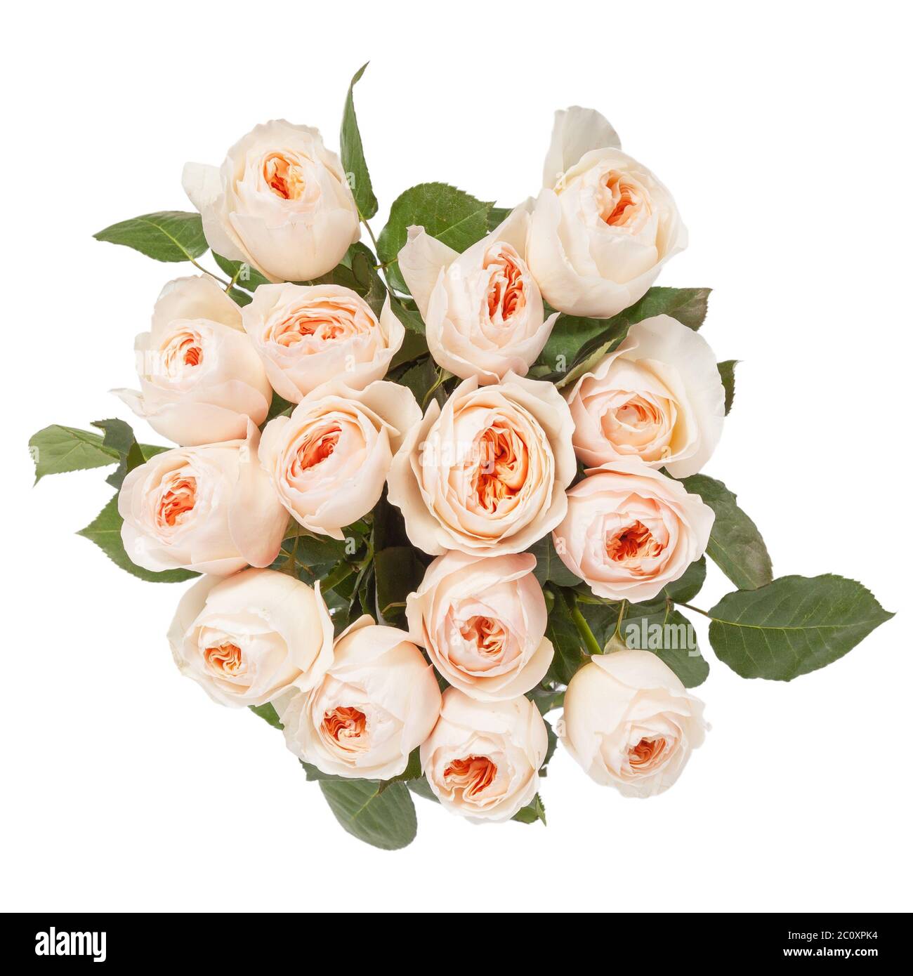 Bouquet of flowers top view isolated on white Stock Photo - Alamy