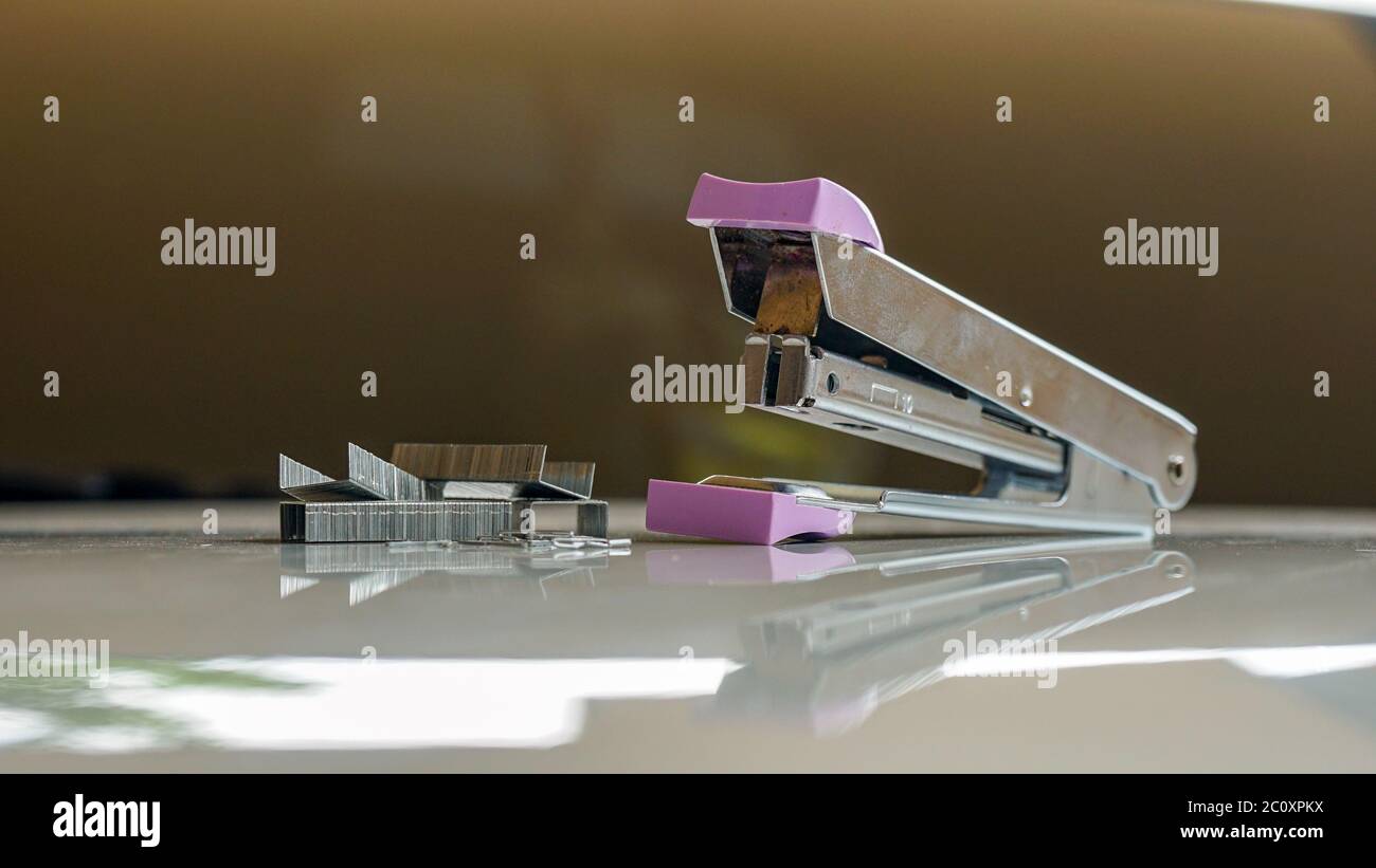 Close up stapler on hi-res stock photography and images - Alamy