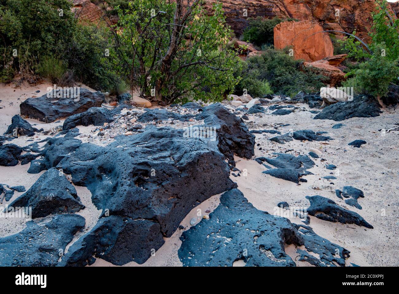 Red rock mountains and volcanic formations dominate this beautiful ...