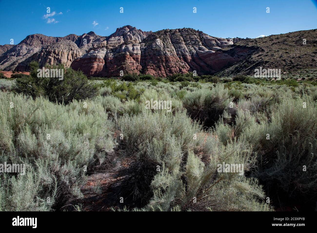 Lava Cliffs High Resolution Stock Photography and Images - Alamy