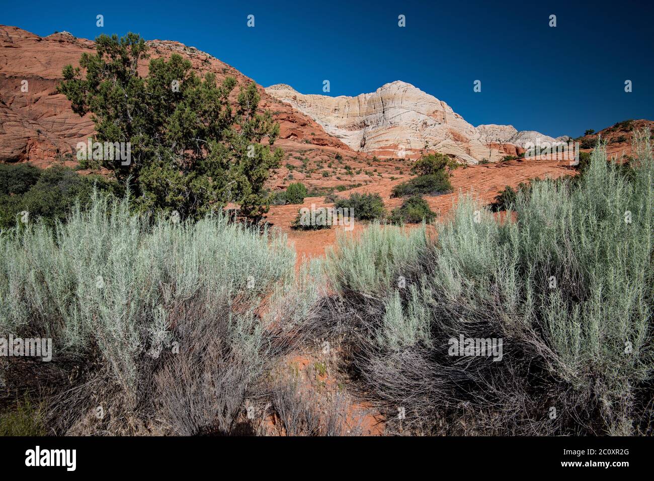 Red rock mountains and volcanic formations dominate this beautiful ...