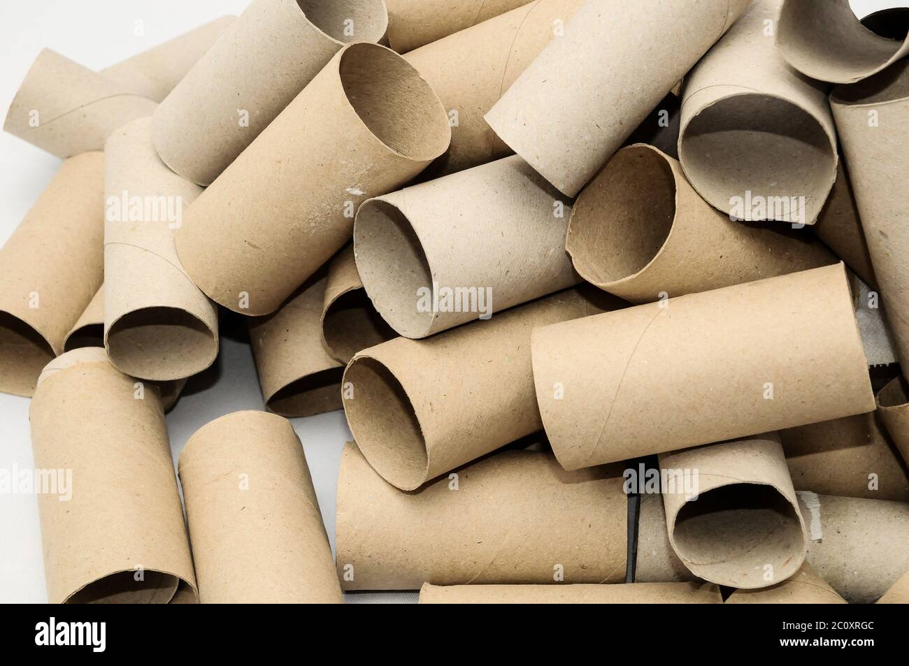 Empty paper towel roll hi-res stock photography and images - Alamy