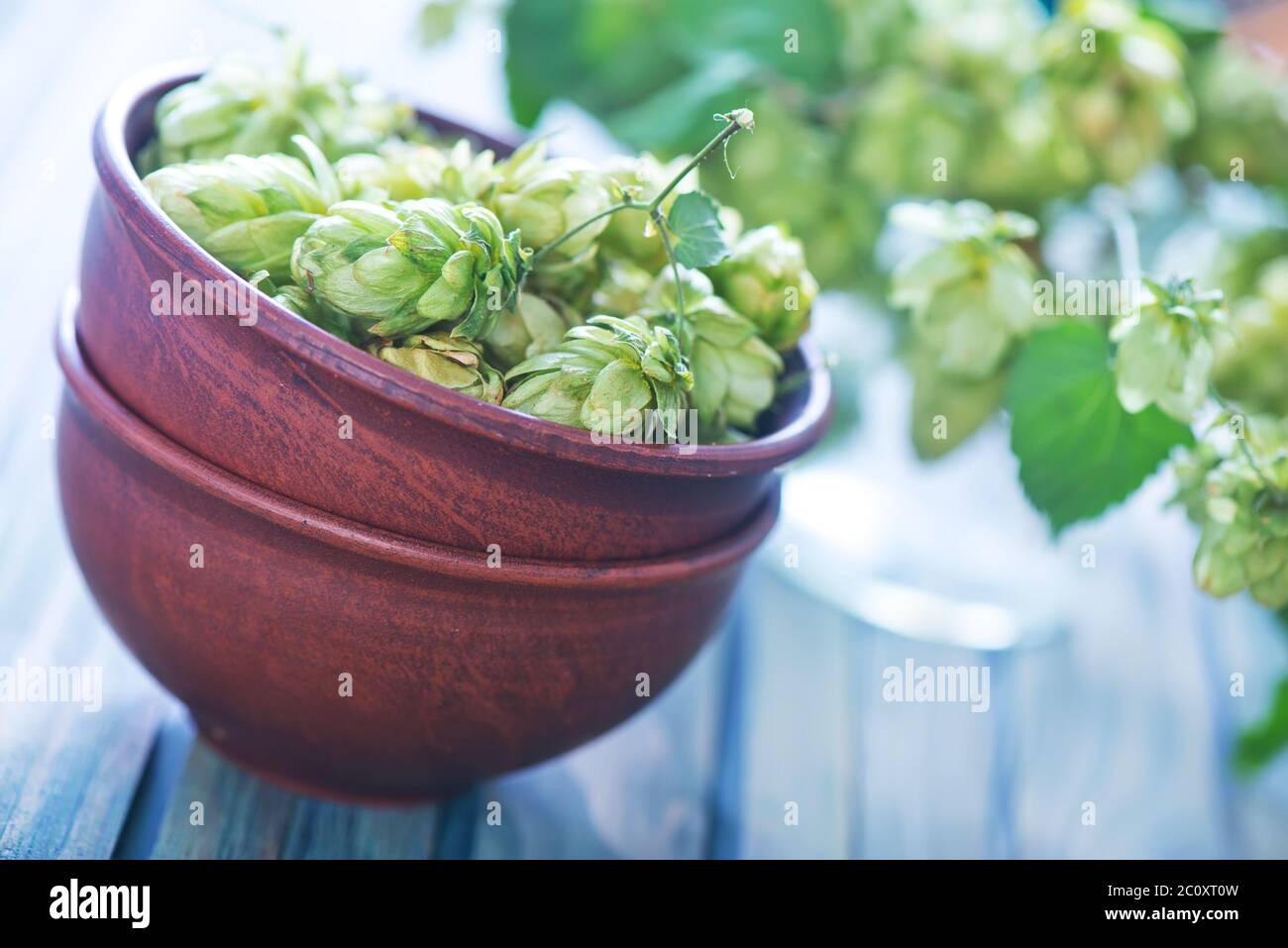 Cross section brewery hi-res stock photography and images - Alamy
