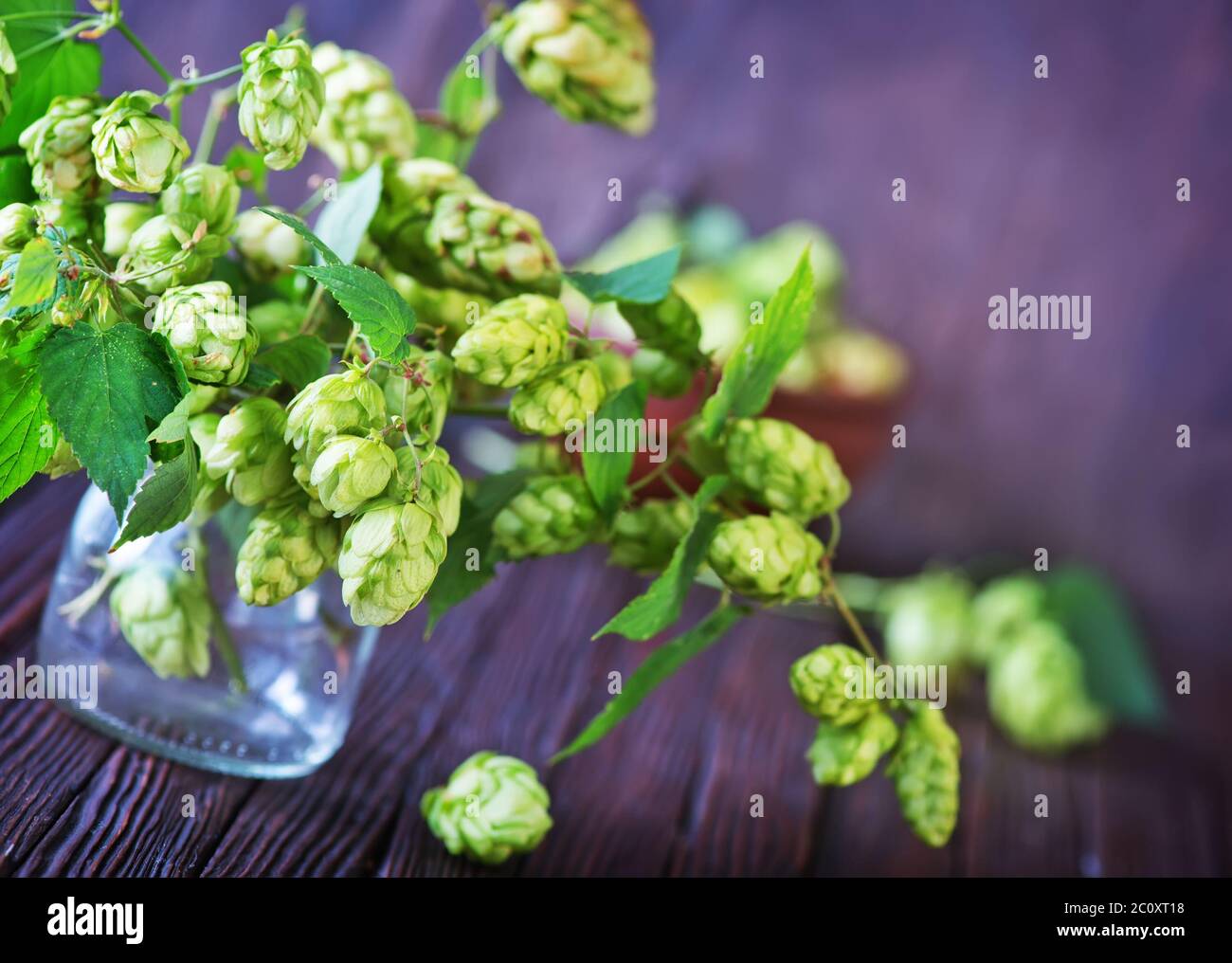 Cross section brewery hi-res stock photography and images - Alamy