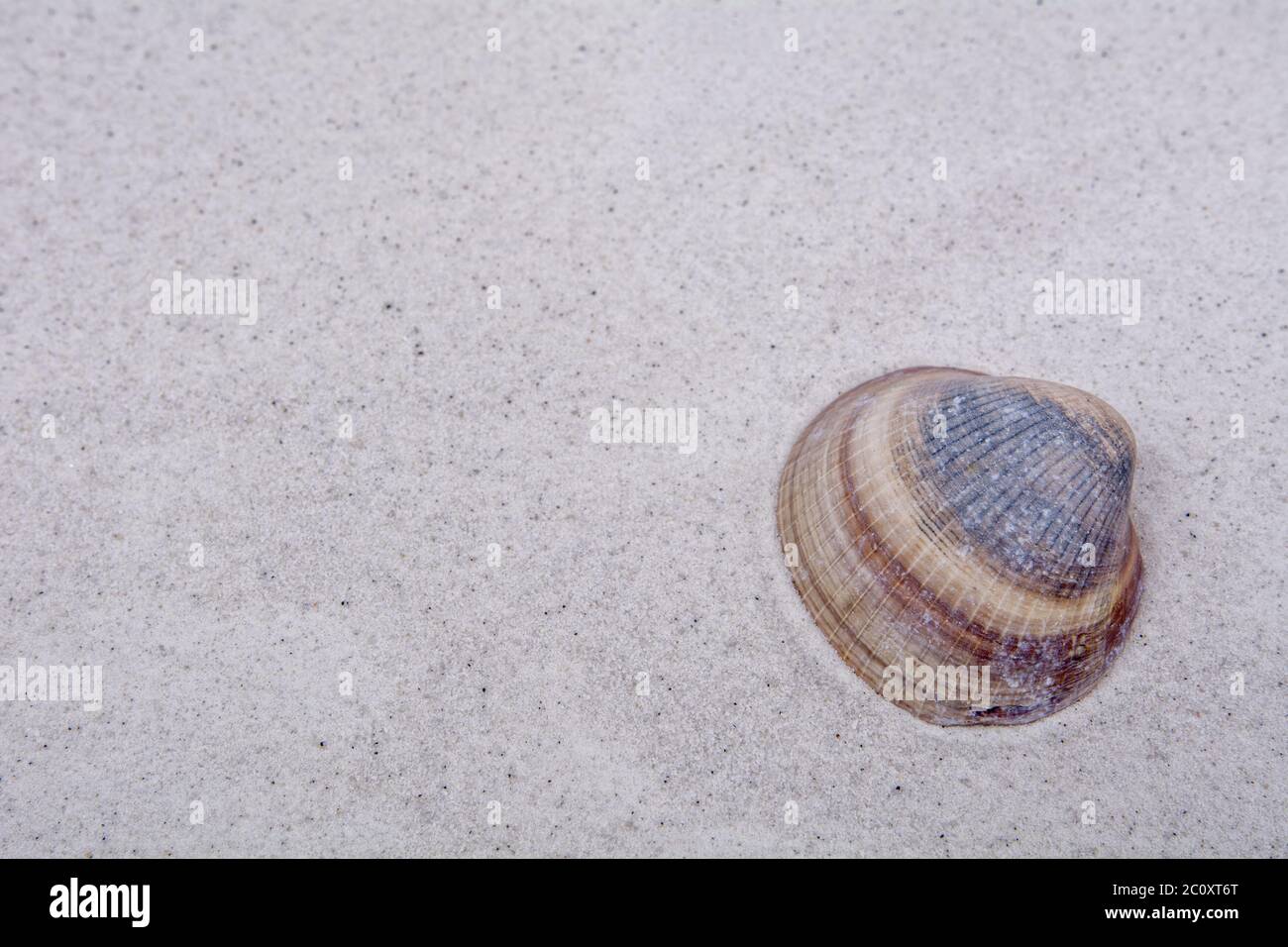 Gray sand pattern hi-res stock photography and images - Alamy