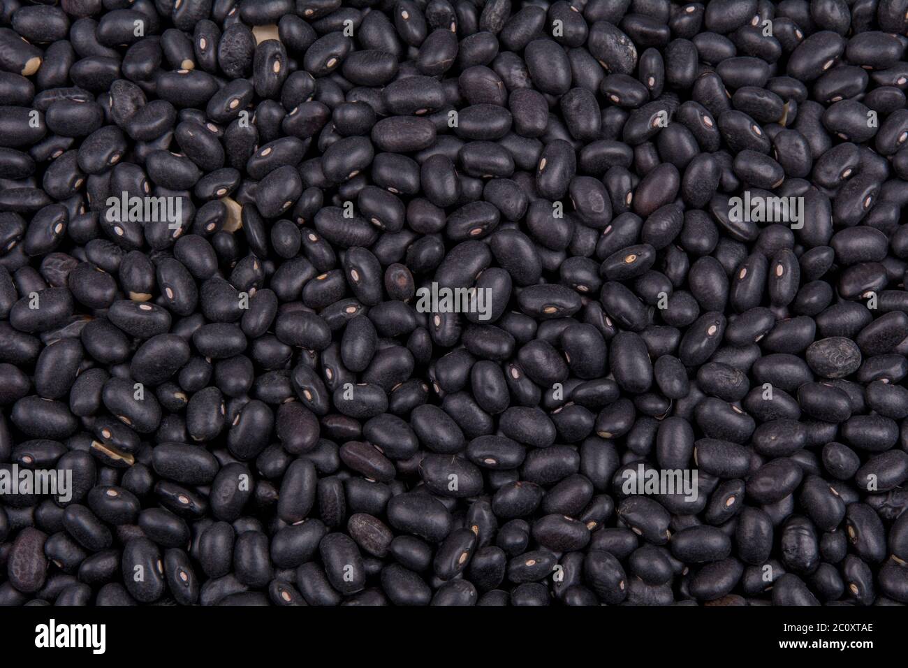 Kidney beans as a creative background Stock Photo - Alamy