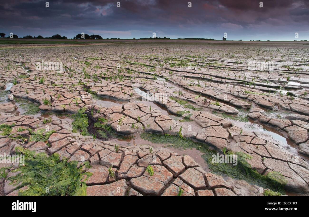 Cracked by the sea hi-res stock photography and images - Alamy