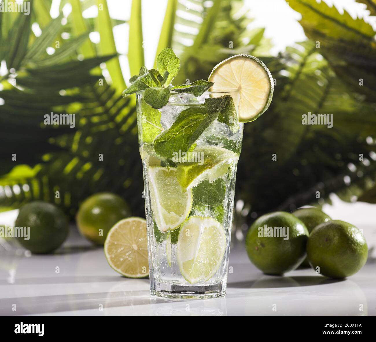 Mojito cocktail on tropical background Stock Photo - Alamy