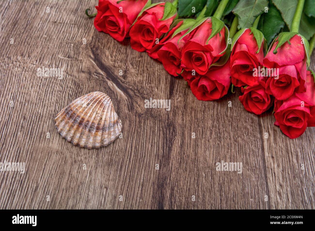 Brown shell and roses on wooden background Stock Photo - Alamy