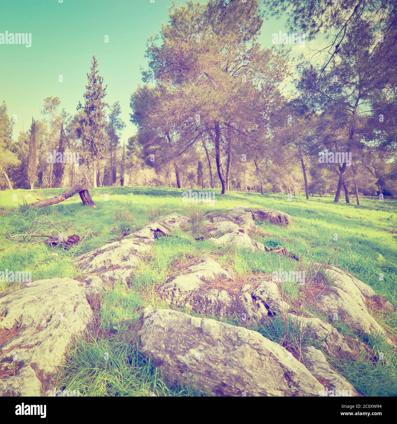 Broken ecosystem hi-res stock photography and images - Alamy