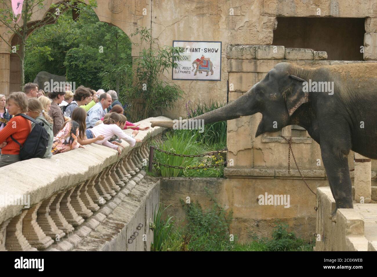 Children with elephant hi-res stock photography and images - Alamy