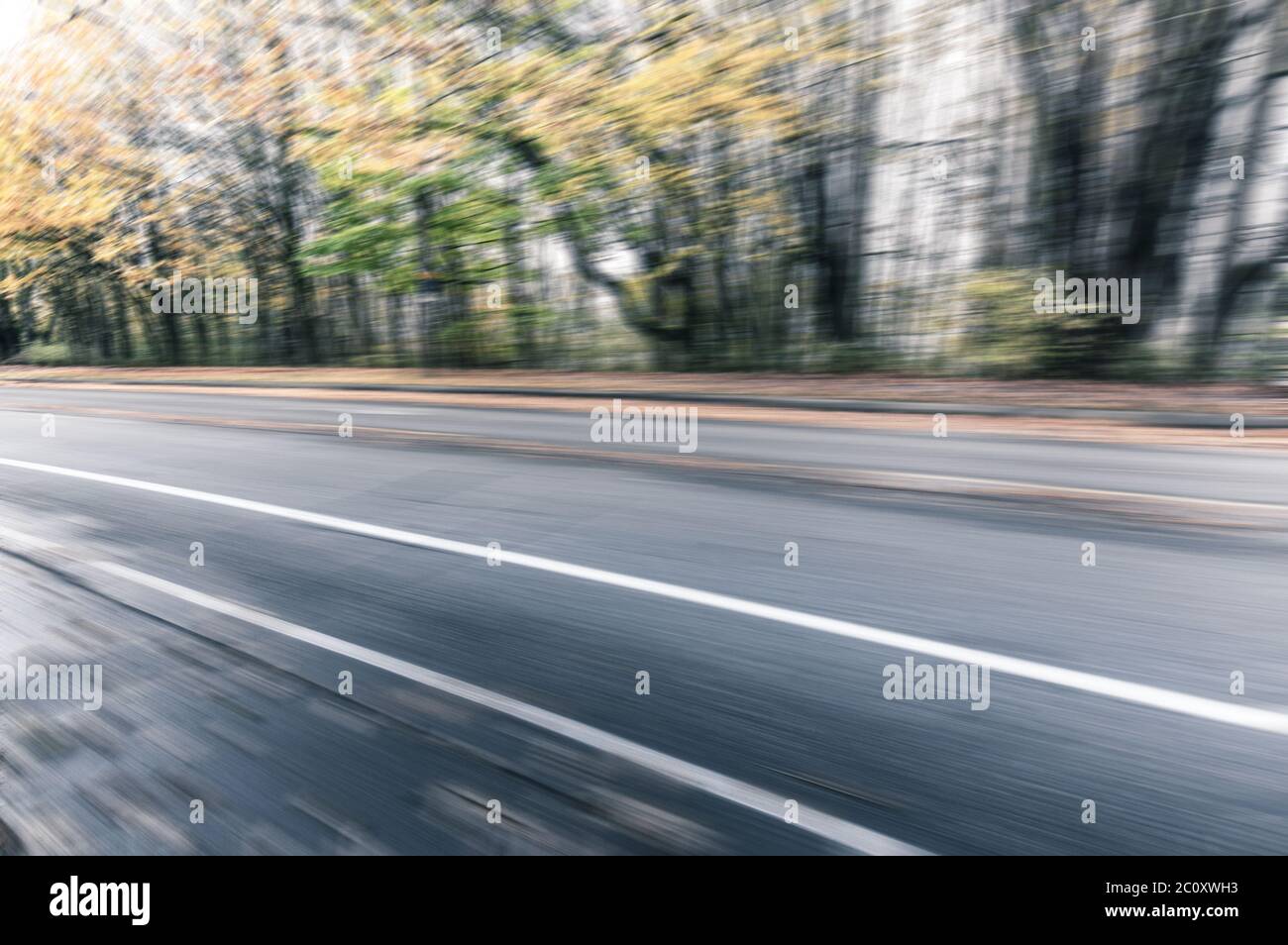 Empty road in forest asphalt hi-res stock photography and images - Alamy