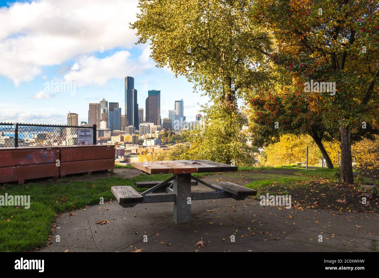 Tree skyline hi-res stock photography and images - Alamy