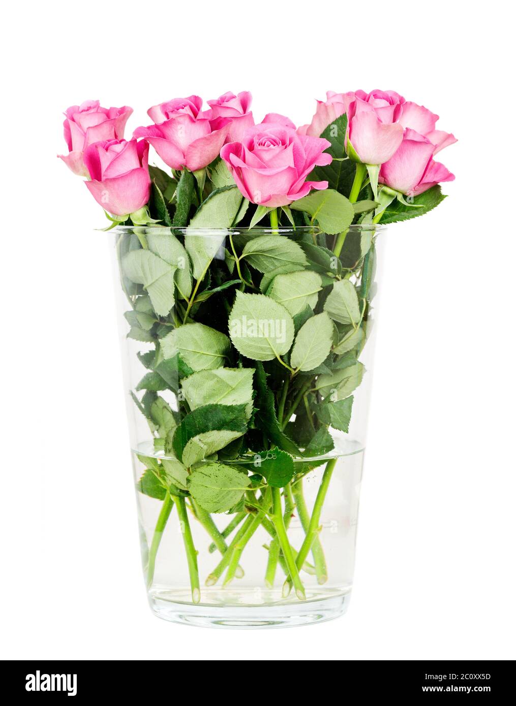 pink roses in vase isolated on white background Stock Photo - Alamy