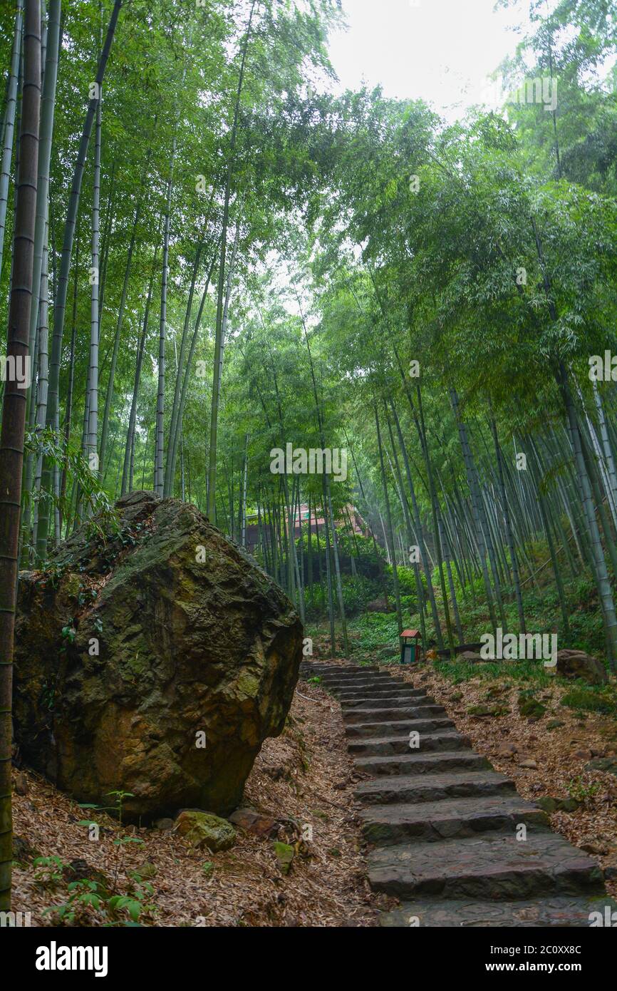 Summer scenery in Yixing Zhuhai Scenic Spot, Jiangsu Province, China ...