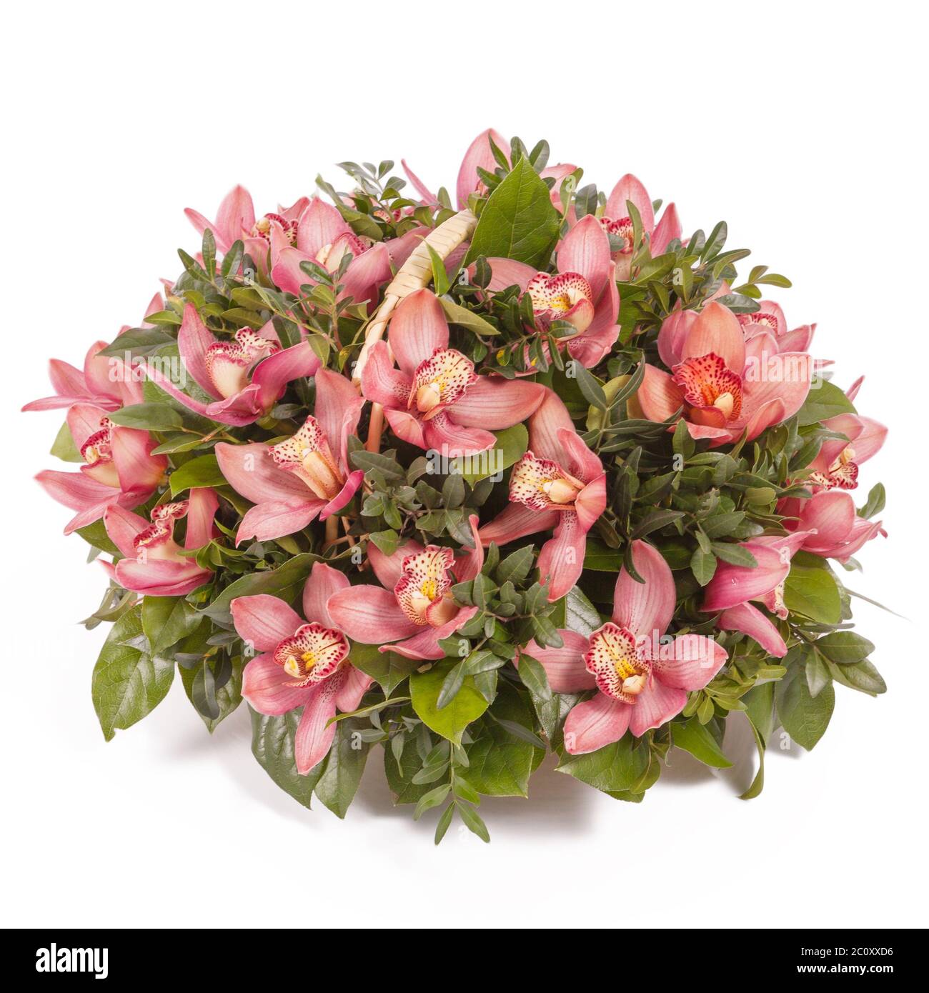 Bouquet of flowers top view isolated on white Stock Photo - Alamy