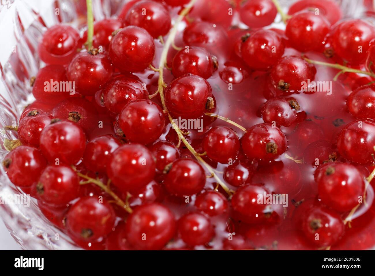Photo of a bowl red current isolated white background Stock Photo - Alamy