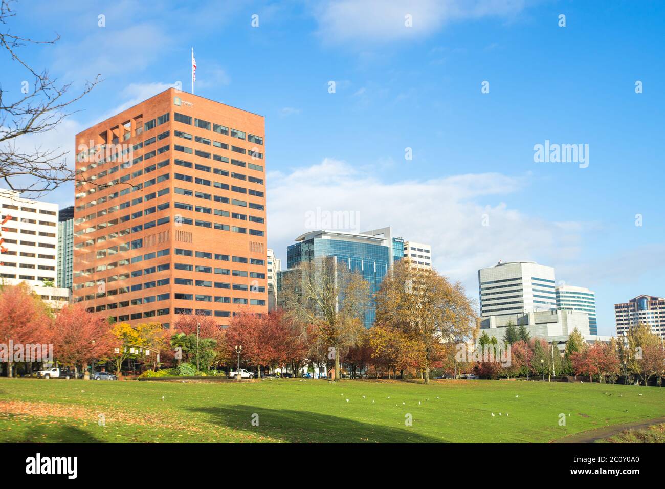 grassland in park and modern buildings and skyline Stock Photo - Alamy