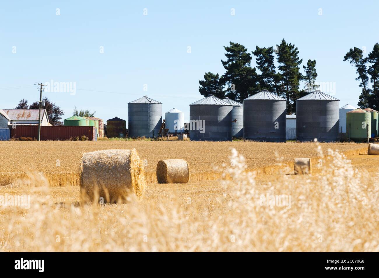 Crop farming new zealand hi-res stock photography and images - Alamy